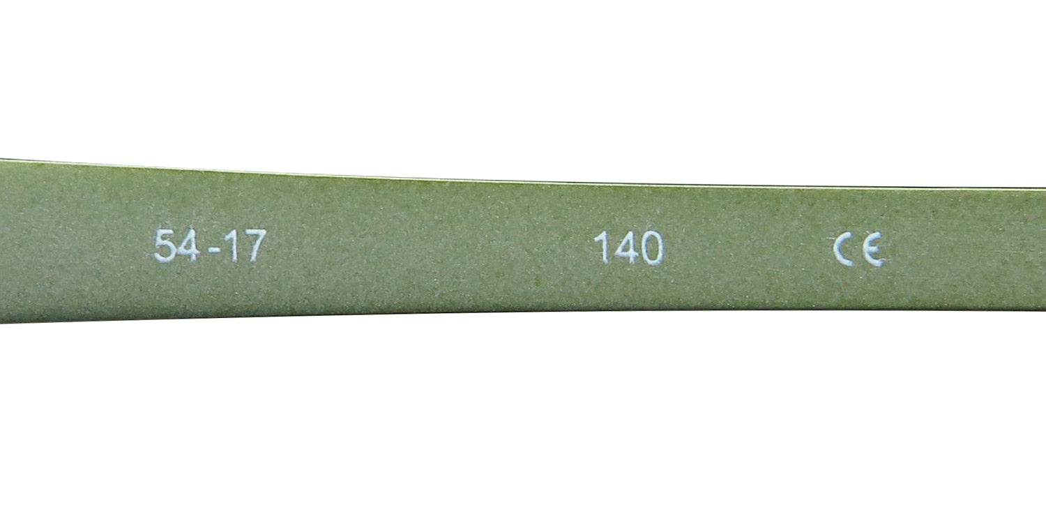 TiFlex - 1705 Eyeglasses for Men – ModaFrames